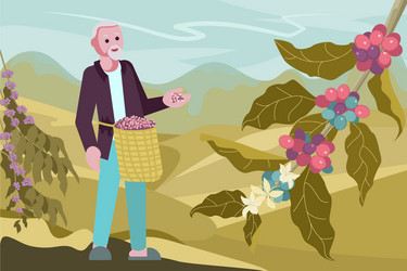 Coffee Farmer Farm Vector Images (over 430)