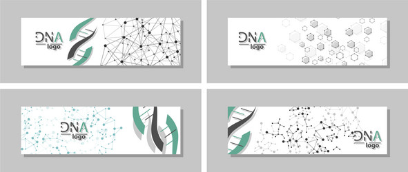 Dna molecule brochure template flyer layout Vector Image