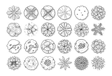 Hand drawn set of top view tree Royalty Free Vector Image