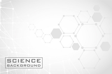 Gray science background with lines structures Vector Image