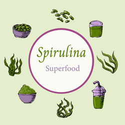 Background of algae drinks in hand drawn sketch Vector Image
