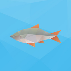 Polygon Fish Vector Images (over 1,500)
