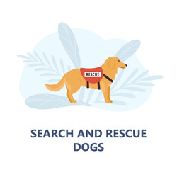 Search and Rescue Symbol Vector Images (over 540)