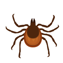 Tick Vector Images (over 100,000)