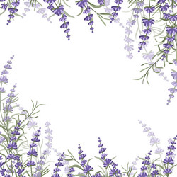 A beautiful purple-lavender border for the design Vector Image