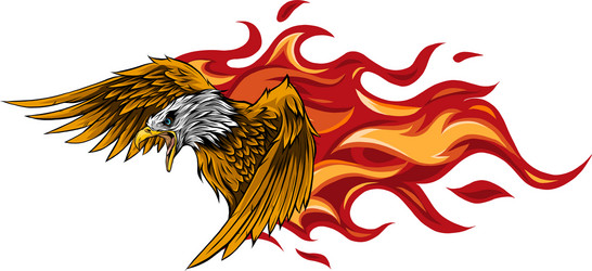 Fiery Phoenix Fire Vector Images (over 150)