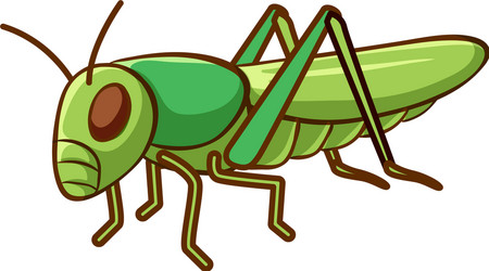 Sad grasshopper on white background Royalty Free Vector