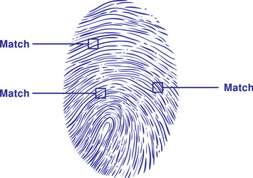 Match Vector Images (over 210,000)