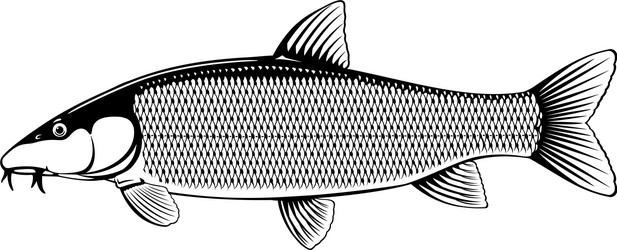 Black silhouette of marlin fish with japanese flag