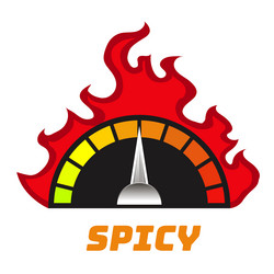 Spicy chilli hot level isolated on white Vector Image
