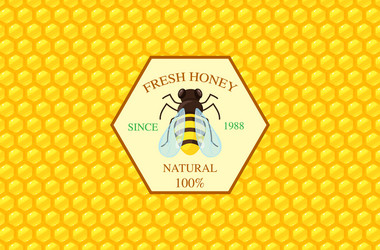 Honeycomb pattern Royalty Free Vector Image - VectorStock
