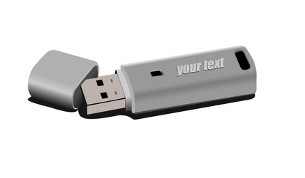 Usb key scan disk close up isolated on white 3d Vector Image