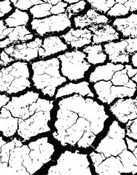 Craquelure pattern grunge cracks cracked painted Vector Image