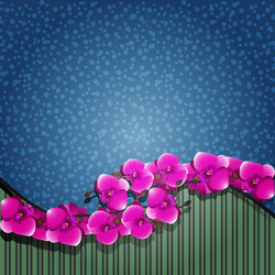 Oval banner with orchids Royalty Free Vector Image