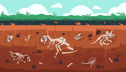 Cartoon paleontology ancient fossil with bones Vector Image