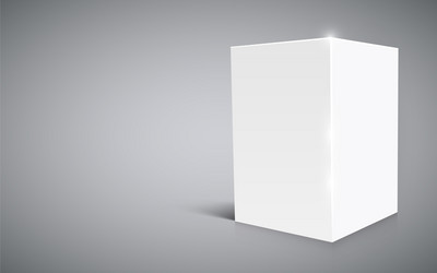 Blank white cube isolated on white background Vector Image