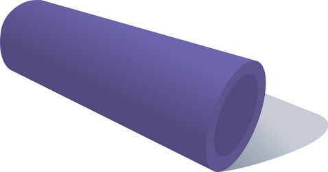 Foam roller personal training equipment Royalty Free Vector