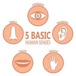 Six sense organs of human body with names Vector Image