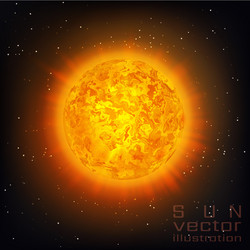 Detailed structure sun Royalty Free Vector Image