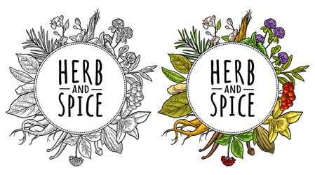 Circle Spice Vector Images (over 2,600)