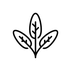 Sage Icon Vector Images (over 1,200)