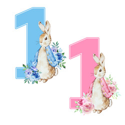 Peter Rabbit Vector Images (over 170)