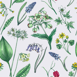 Seamless border with flowers Royalty Free Vector Image