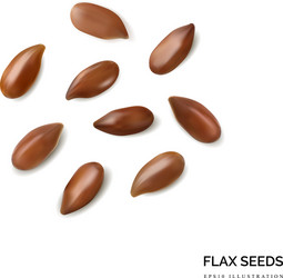 Rice Husk Vector Images (75)