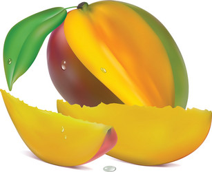 Mango Vector Images (over 19,000)