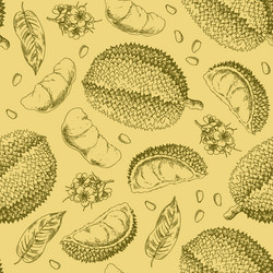 Durian Vector Images (over 3,000)