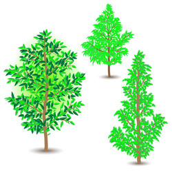 Tree Stem Vector Images (over 32,000)