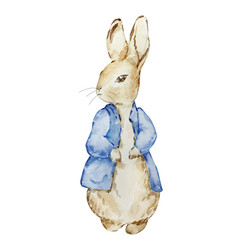 Peter Rabbit Vector Images (over 130)
