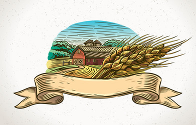 Drawn Vintage Wheat Vector Images (over 4,100)