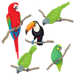 Cartoon parrots tropical birds set Royalty Free Vector Image