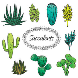 Graphic set with cute cartoon succulents Vector Image