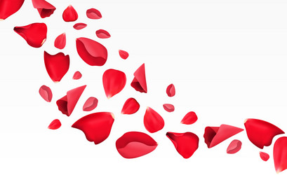 Petal Vector Images (over 300,000)