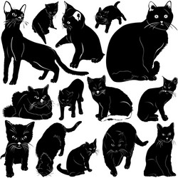 Cat Vector Images (over 320,000)