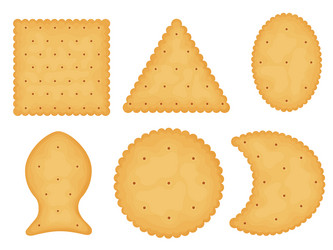 Oval crackers two of food Royalty Free Vector Image