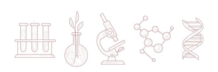 Different lab and chemistry hand drawn element Vector Image