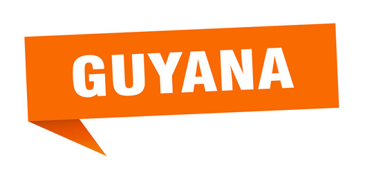 Welcome Guyana to Vector Images (91)