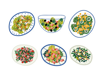 Salad with mixed greenery and vegetables served Vector Image