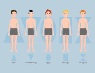 Collection people with different body shapes Vector Image