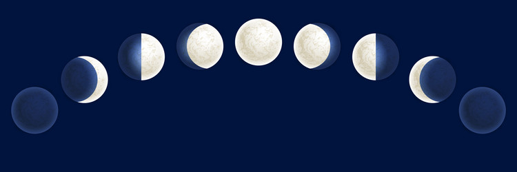 Moon phases celestial space planet Royalty Free Vector Image