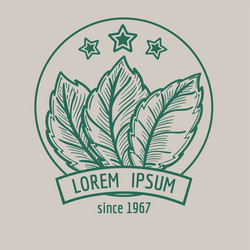 Mind leaf logo menthol Royalty Free Vector Image