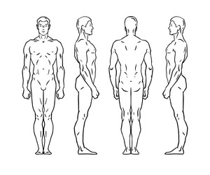 Male Body Outline Drawing