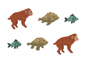 Monkey Stage Evolution Vector Images (86)