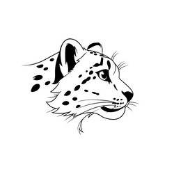 Snow Leopard Line Art Royalty Free Vector Image