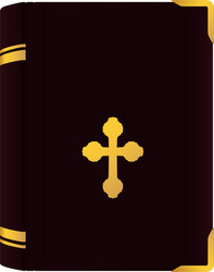 Holy bible christianity symbol Royalty Free Vector Image