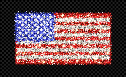 Sparkling American Flag