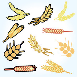 Wheat Vector Images (over 120,000)